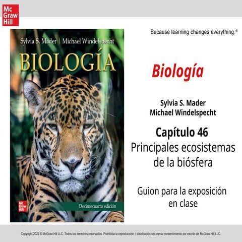 Patrones climáticos del planeta - Carol Rincón | PPT