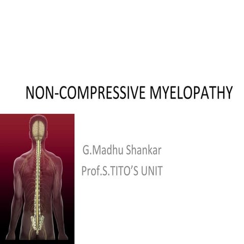 Non-Compressive Myelopathy | PPT