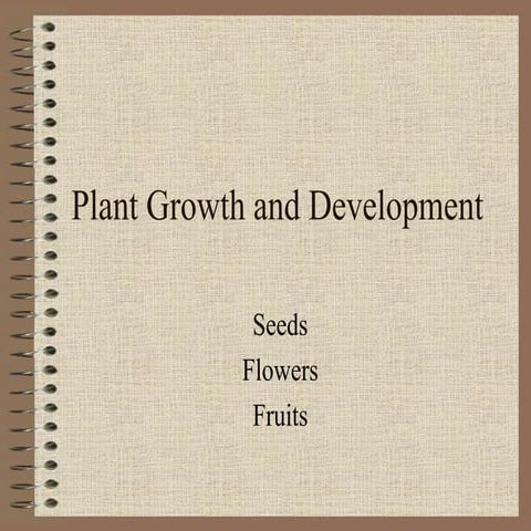4. phases of plant growth and development | PDF