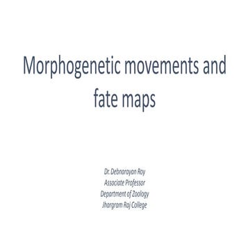 FATE Map | PPT