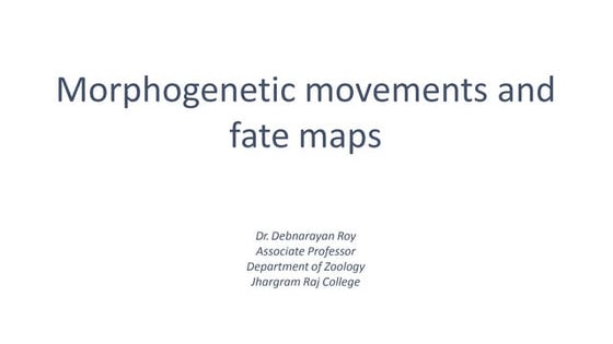 Developmental Specification & Differentiation | PDF | Biological ...