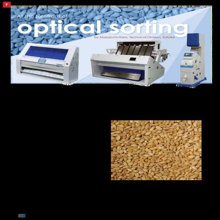 At the forefront of optical sorting | PDF | Agriculture | Industries