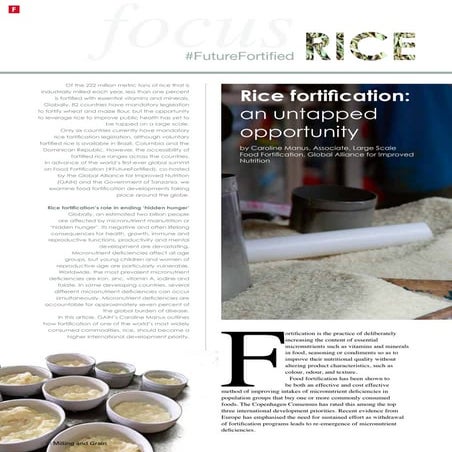 Rice Fortification Focus | PDF | Agriculture | Industries