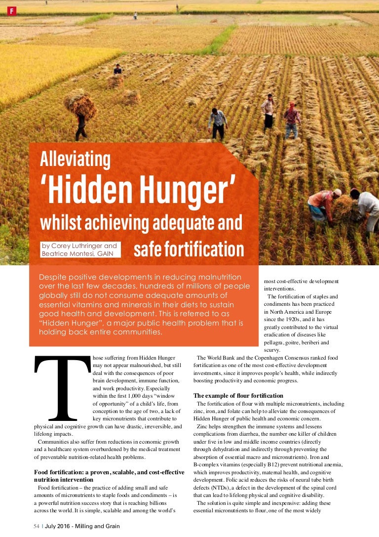 Alleviating ‘Hidden Hunger’ whilst achieving adequate and safe fortif…