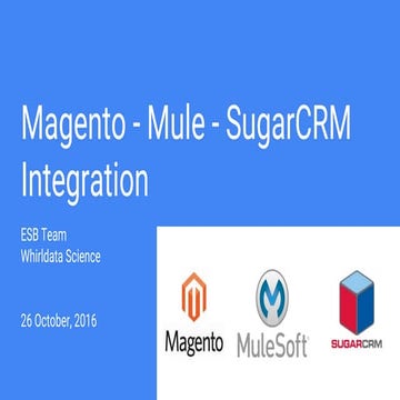 Magento mule-sugar crm integration | PDF