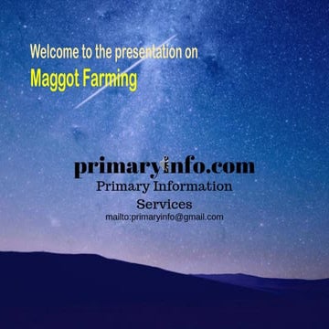 Maggot farming | PDF