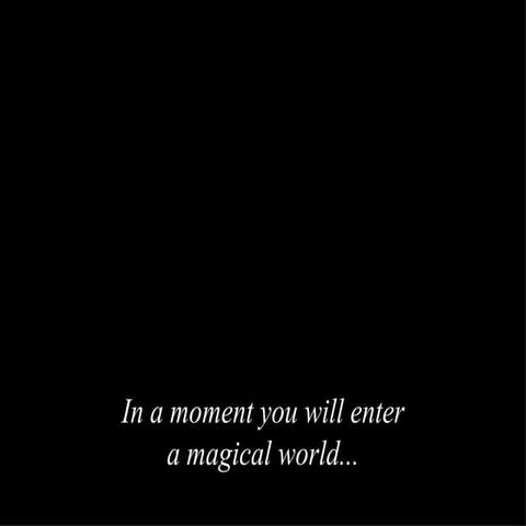 Viraj kansara's magic illusion | PPS