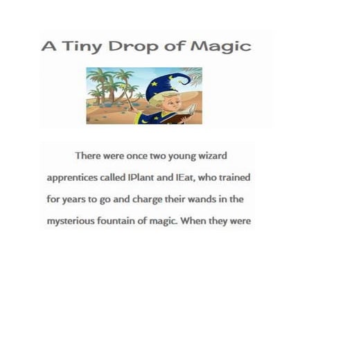 Magic story | DOCX