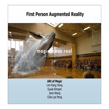 Magic Leap | PDF
