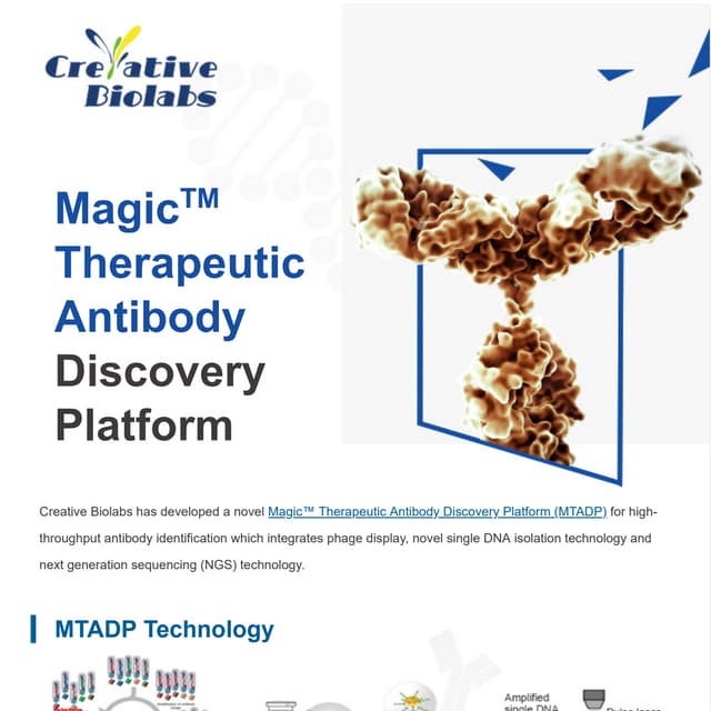 Magic therapeutic antibody discovery platform flyer | PDF