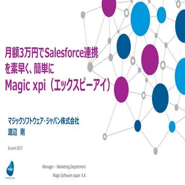 月額3万円でSalesforce連携を素早く、簡単に。Magic xpi（エックスピーアイ） | PPTX
