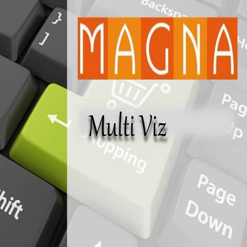 Magna Multiviz | PPT