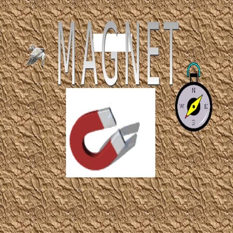 Magnet.pdf