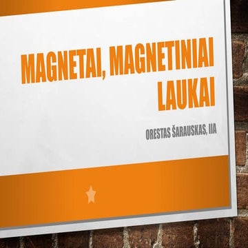 Magnetai, Magnetiniai laukai.pptx