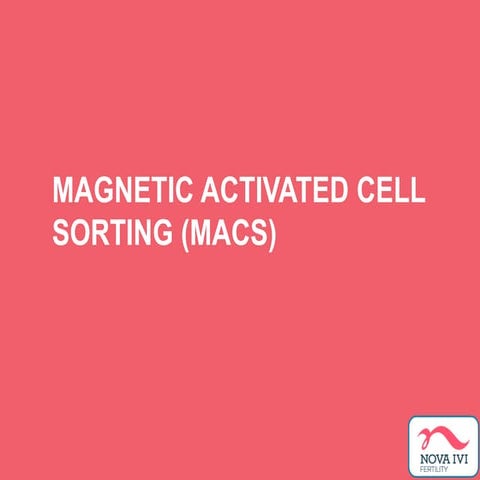 Magnetic Activated Cell Sorting (MACS) | PDF