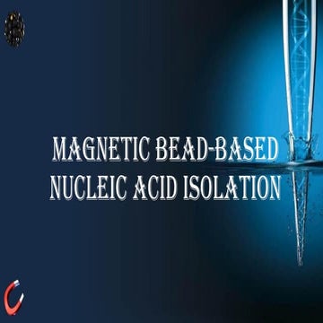 Magnetic Bead-Based Nucleic Acid Isolation.pdf