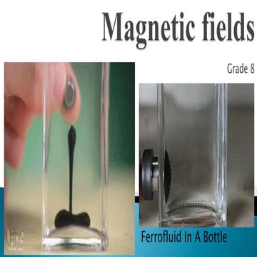 Magnetic fields.pptx
