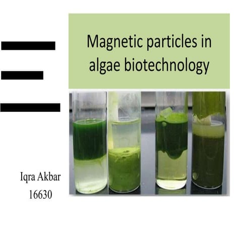 Magnetic particles in algae biotechnology | PPTX | Biological Sciences | Science