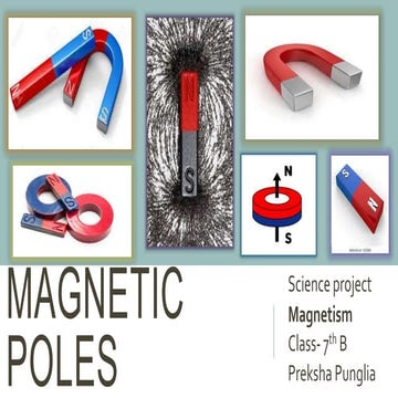 Magnetic poles | PPTX