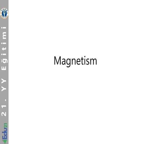 Magnetism | PPTX