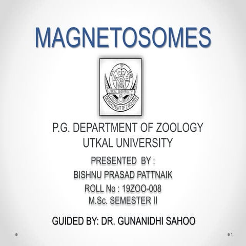 Magnetosome | Magnetotactic bacteria (MTB) | | PPTX