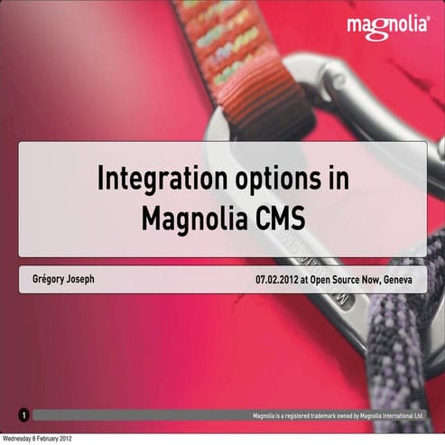 Integration possibilities with Magnolia CMS | PPT