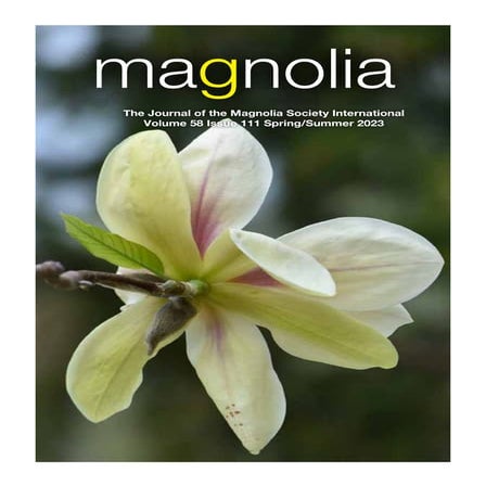 The Joirnal of magnolia society international | PDF