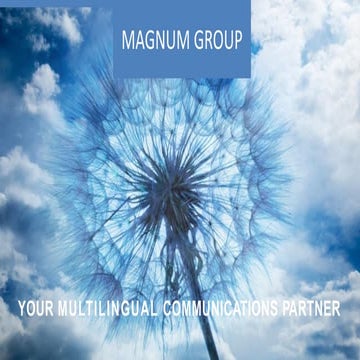 Magnum Group Info 2019 | PPT