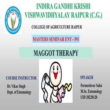Maggots Therapy Parmeshwar Sahu Entomology.pptx