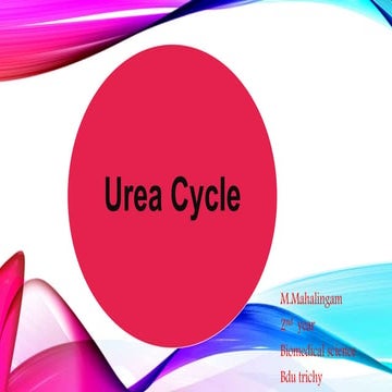 urea cycle & its regulation | PPTX