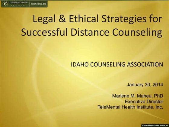 Meeting etiquettes | PDF