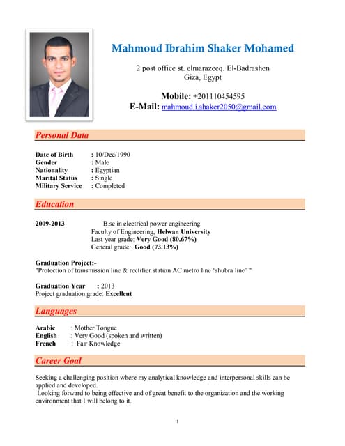 Abdelrahman hussein cv | PDF