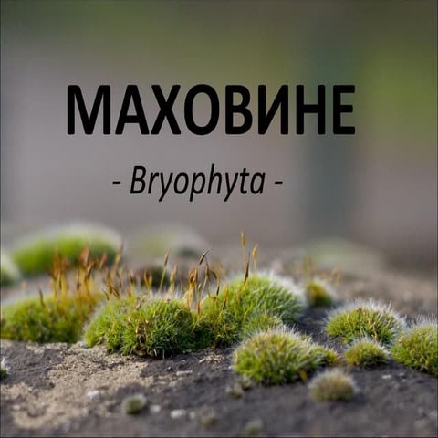Mahovine | PPT