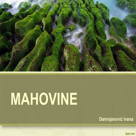 Mahovine | PPT