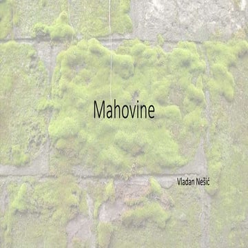 Mahovine, osnovne osobine, građa, raznovrsnost i značaj | PPTX