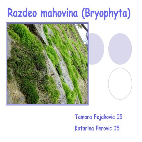 mahovine.ppt