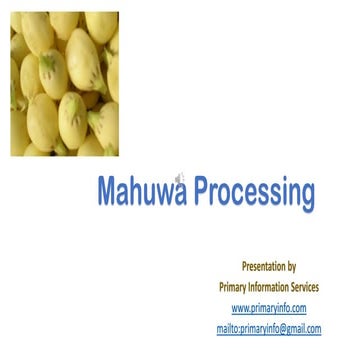 Mahuwa Processing | PDF