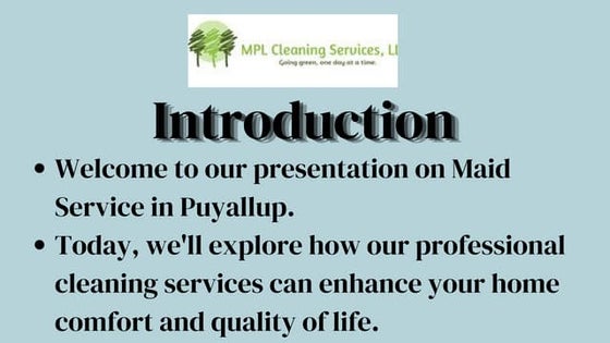 Professional Solution Cleaning Services.pptx