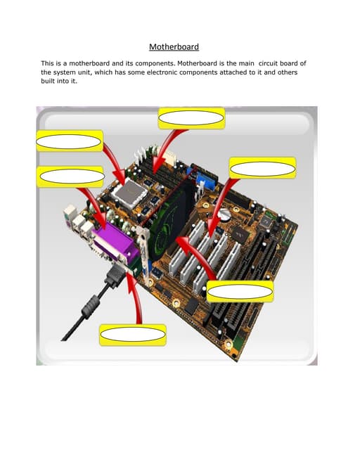 Ports and connectors | PPTX | Computer Peripherals | Computing