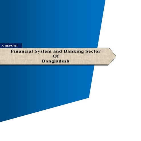 Financial System and Banking Sector of Bangladesh | PDF