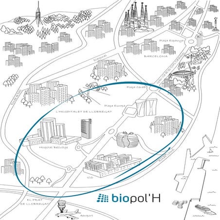 Main figures biomedicine (Biopol'H) | PDF