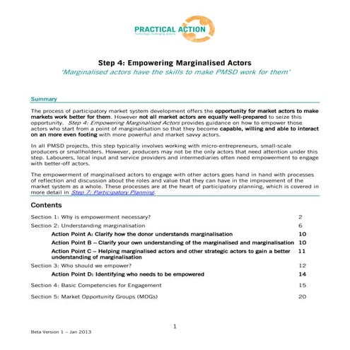 Step 4 Guidelines | PDF