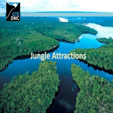 The amazon rainforest | PPTX