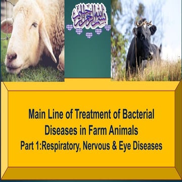 Main Line of Treatment of Bacterial Diseases of Sheep & Goats Prof Dr ...