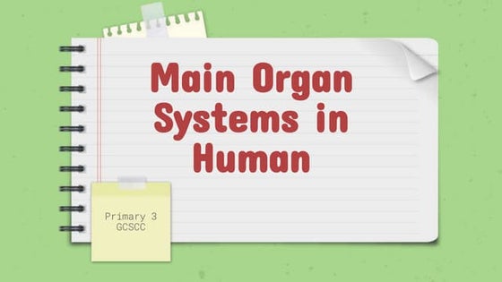 Systems of human body | PPTX