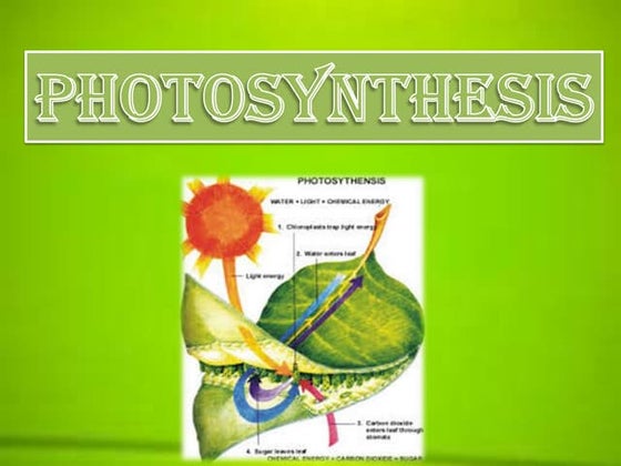 Photosynthesis (class 10) | PPTX