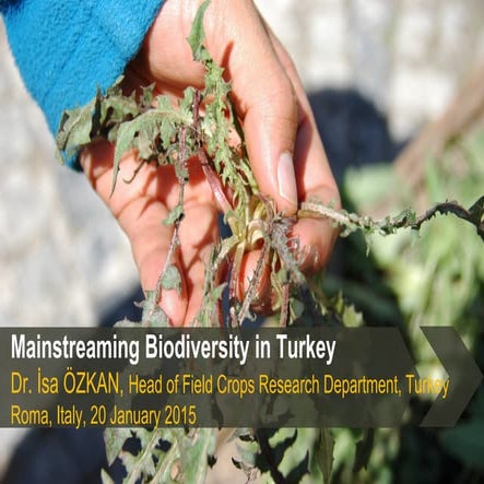 Photo Exhibition About Turkey’s Biodiversity in Turkey meeting | PPTX