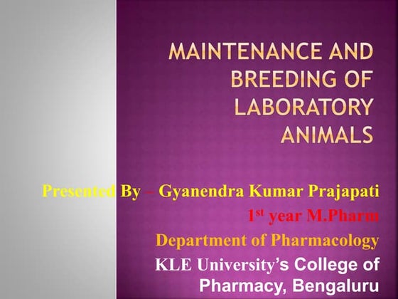 Maintence and breeding of laboratory animals | PPTX