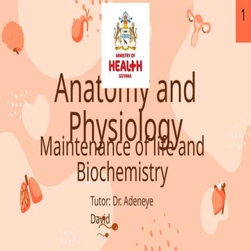 Biology summarised flipped class - IGCSE | PPTX