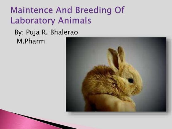 Blood sample collection in lab. animals | PPT